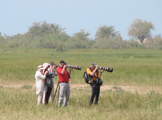 7 Tips for Taking Photos in Iran