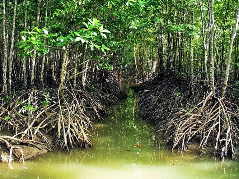 Hara Biosphere Reserve of Iran, in UNESCO's List | Destination Iran
