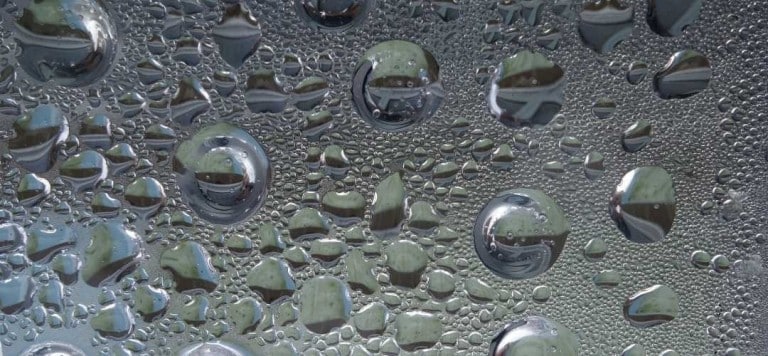 Shipping Container Condensation How to Stop It!